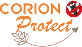 Corion Protect - Tinta Inseticida contra o Aedes Aegpyti